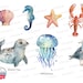 Watercolor Sea Animals Nursery Marine Life Clipart PNG Sealife Clipart ...