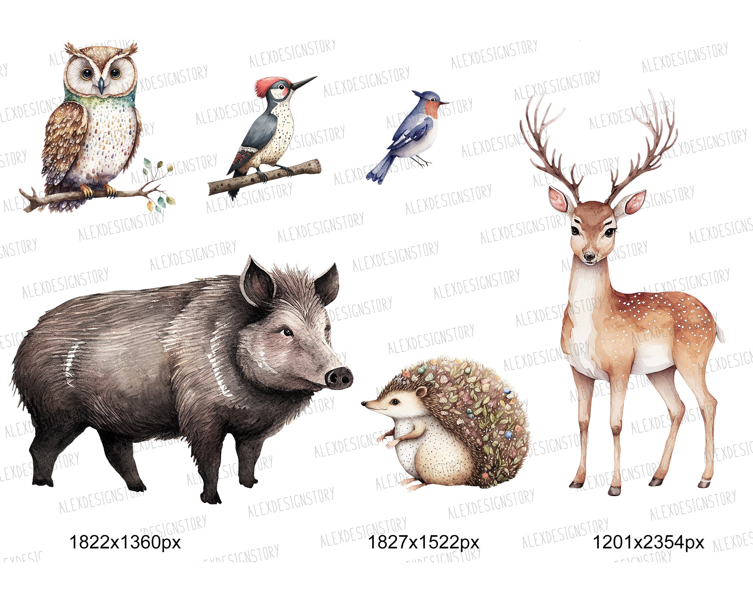 Watercolor Woodland Animals Clipart Cute Forest Animals, Bear, Deer ...
