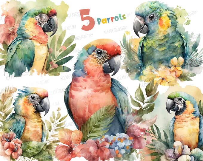 Parrots Watercolor Clipart, Exotic Birds Clip Art, Tropical Parrot Png ...