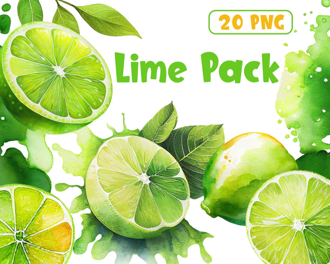 Watercolor Lime Clipart - Tropical Fruit, Citrus Fruit, Lime Slices ...