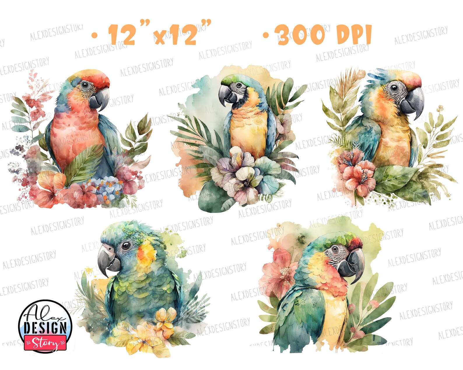 Watercolor Tropical Animals Jungle Parrot Sublimation Parrot Macaw ...