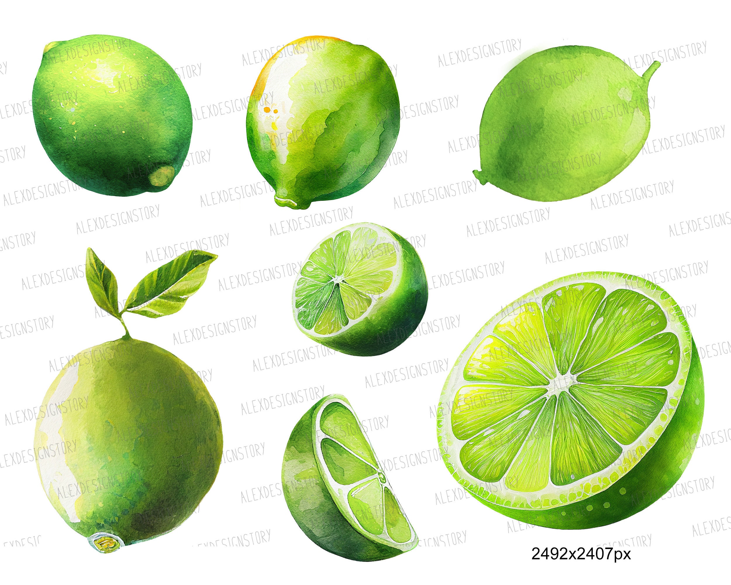 Watercolor Lime Clipart - Tropical Fruit, Citrus Fruit, Lime Slices ...