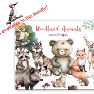 Watercolor Woodland Animals Clipart - Cute Teddy Bear PNG, Forest Fox ...