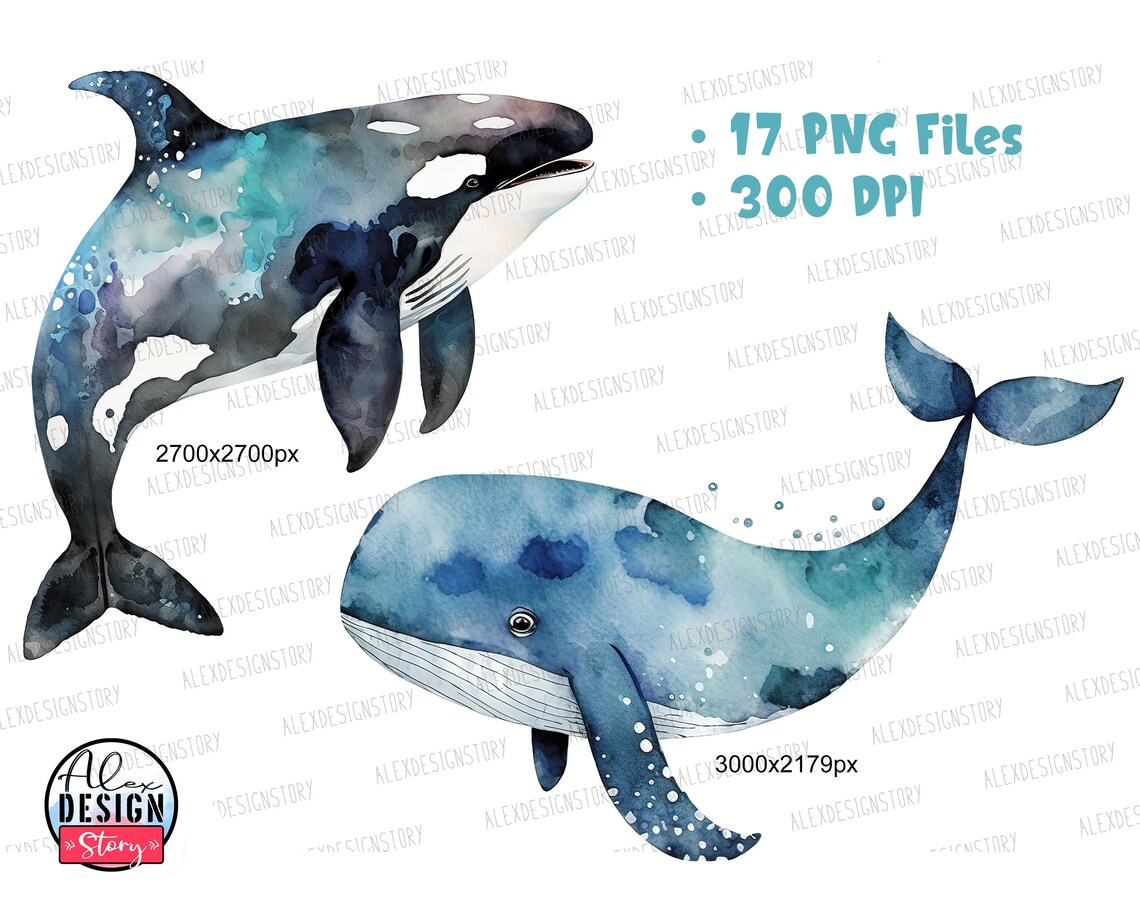 Watercolor Sea Animals Nursery Marine Life Clipart PNG Sealife Clipart ...