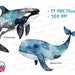 Watercolor Sea Animals Nursery Marine Life Clipart PNG Sealife Clipart ...