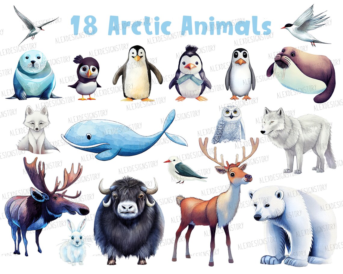 Arctic Animal Clipart - Nordic Animals, Watercolor Winter Animals ...