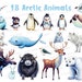 Arctic Animal Clipart - Nordic Animals, Watercolor Winter Animals ...