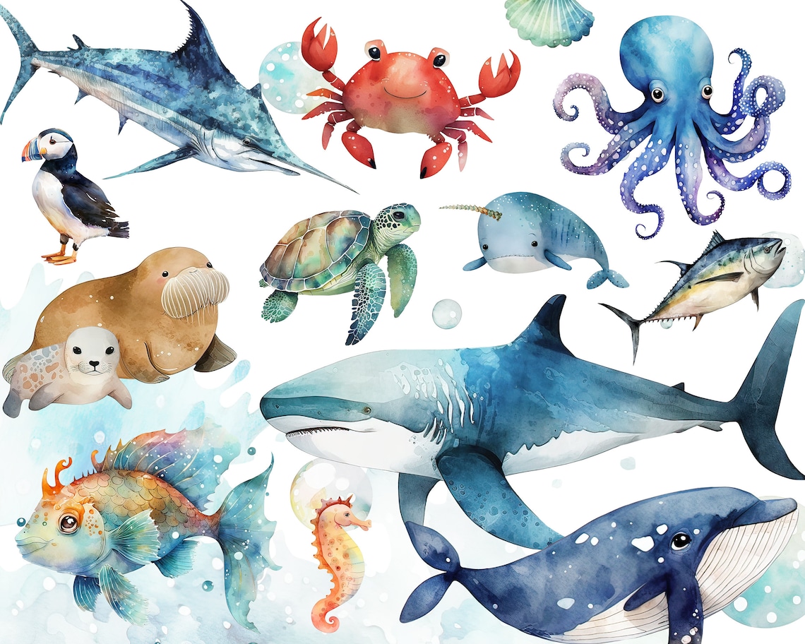 Watercolor Sea Animals Nursery Marine Life Clipart PNG Sealife - Etsy