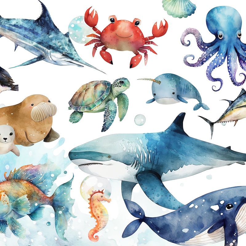 Sea Life Watercolor - Etsy