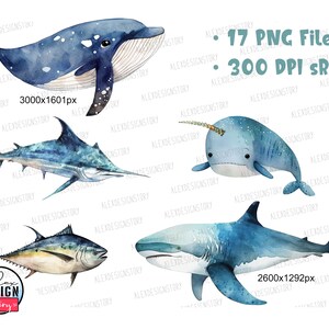 Watercolor Sea Animals Nursery Marine Life Clipart PNG Sealife Clipart ...
