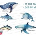 Watercolor Sea Animals Nursery Marine Life Clipart PNG Sealife Clipart ...