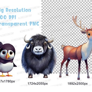 Arctic Animal Clipart - Nordic Animals, Watercolor Winter Animals ...