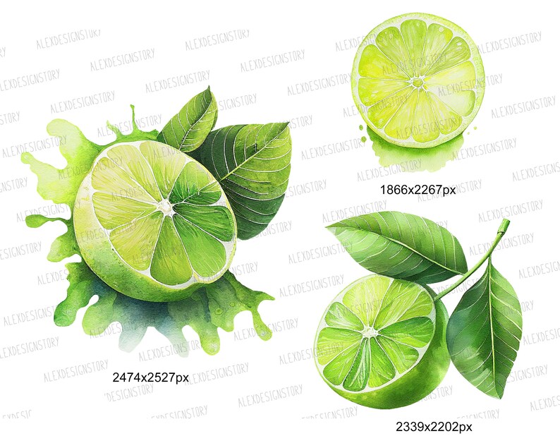 Watercolor Lime Clipart - Tropical Fruit, Citrus Fruit, Lime Slices ...