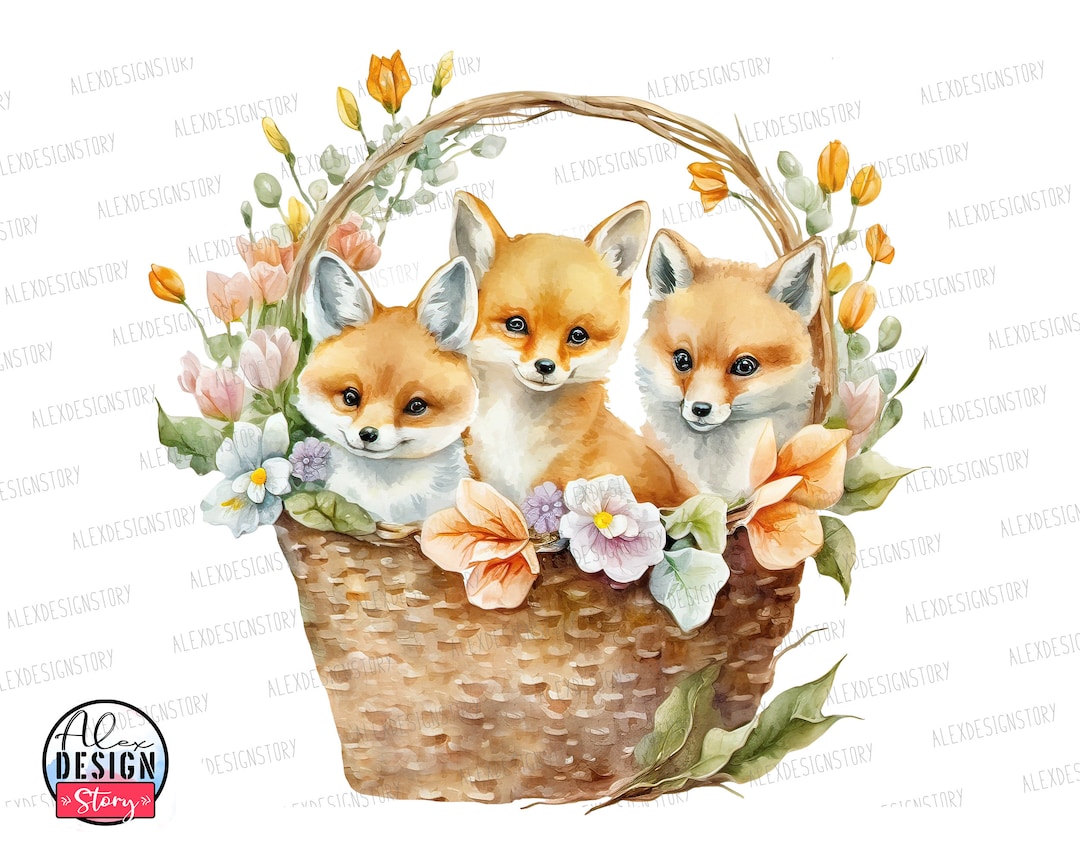 Little Foxes Png Fox Watercolor Clipart Fox Baby Shower Cute Foxes ...