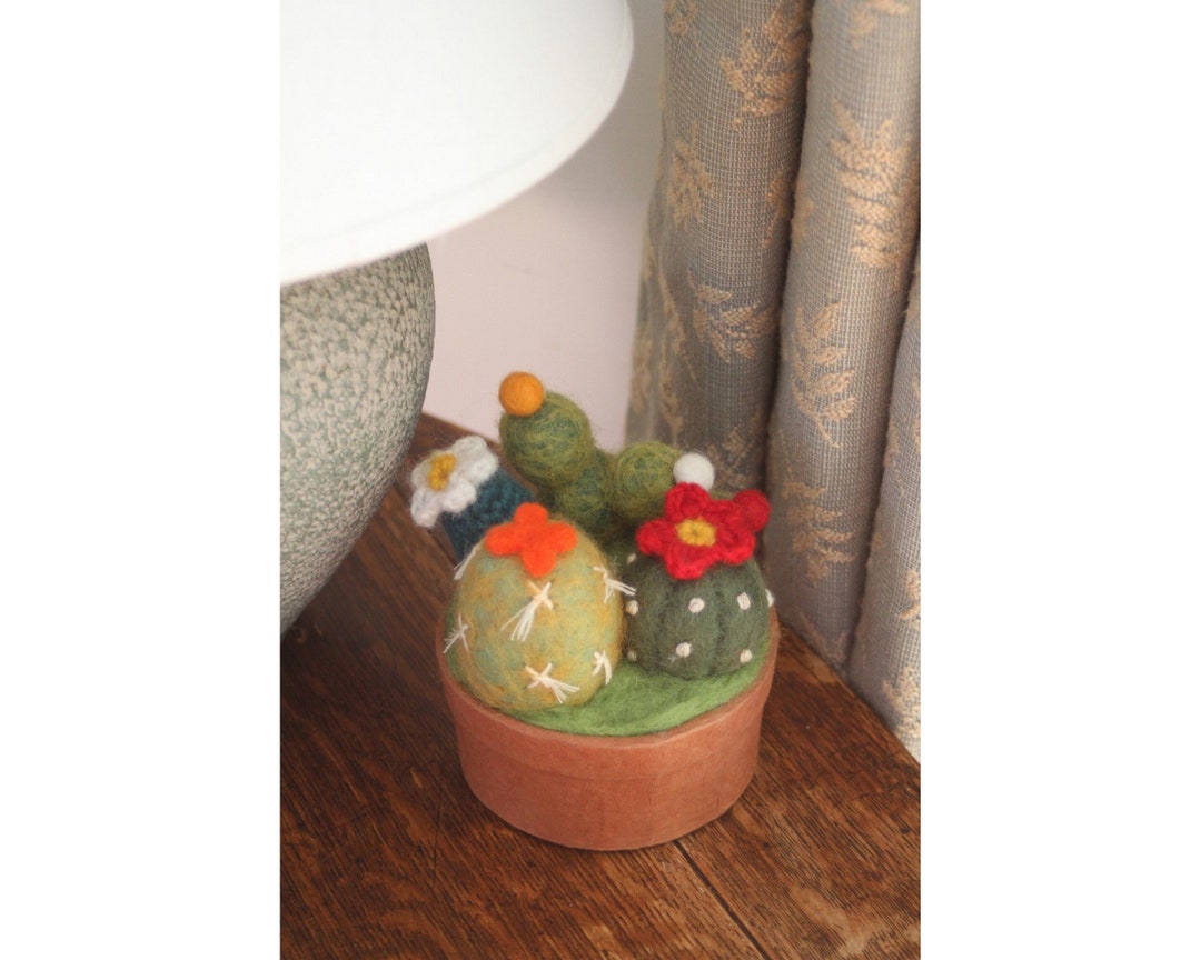 Felt Flower Pot, Hand Felted Daisy Vase, Gerbera Vase, Cactus Pot ...
