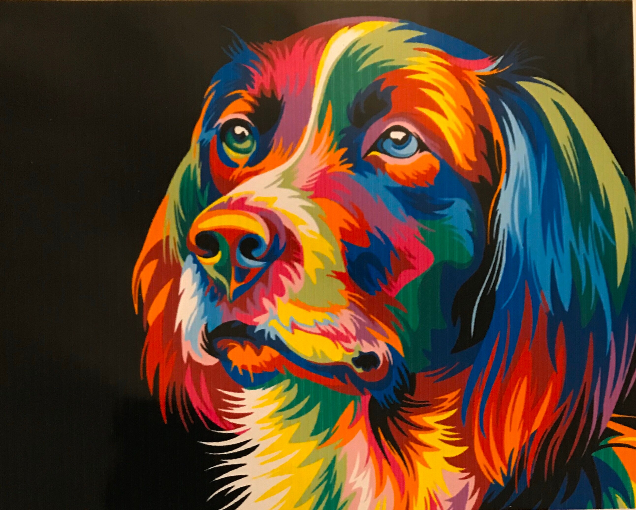 Multi Color Dog DIY Paint by Number Kit Acrylic Painting on - Etsy