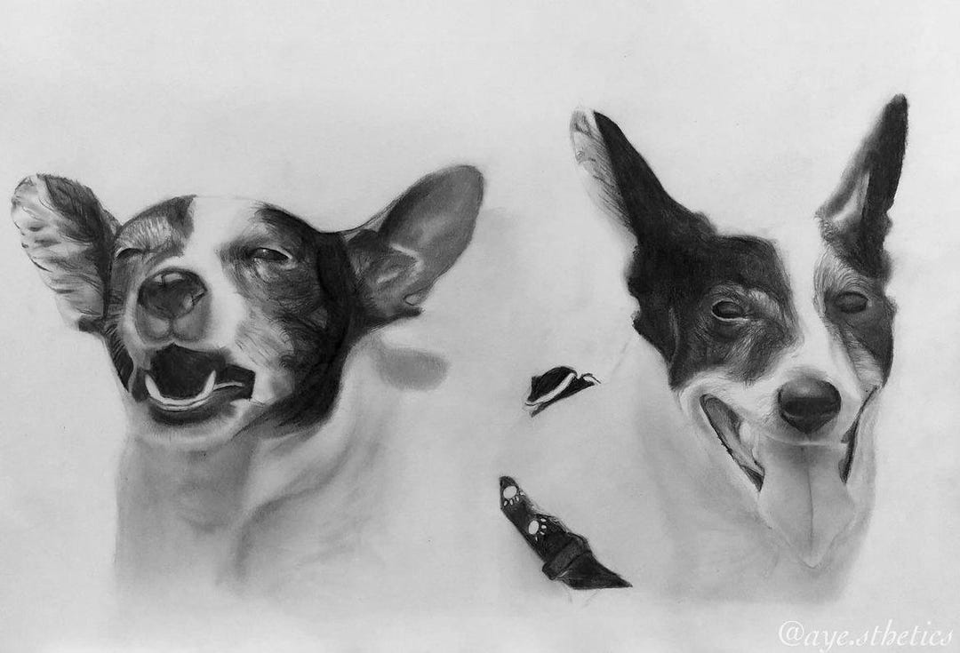 Custom Pet Portrait Drawings, Art Commissions, Personalised Gift ...