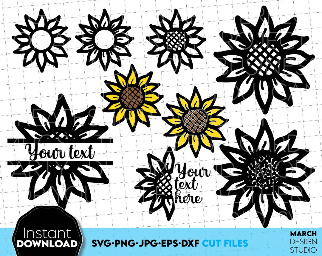 Sunflowers SVG Bundle | Split Sunflower SVG | Half Sunflower SVG | Hand ...