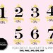 Birthday Girl Numbers SVG Bundle Birthday Girl Crown SVG Birthday Babe ...