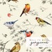 Bird Wallpaper Watercolor Birds Vintage Style Peel and - Etsy