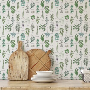 Kitchen Wallpaper With Herbs Illustrations - Etsy