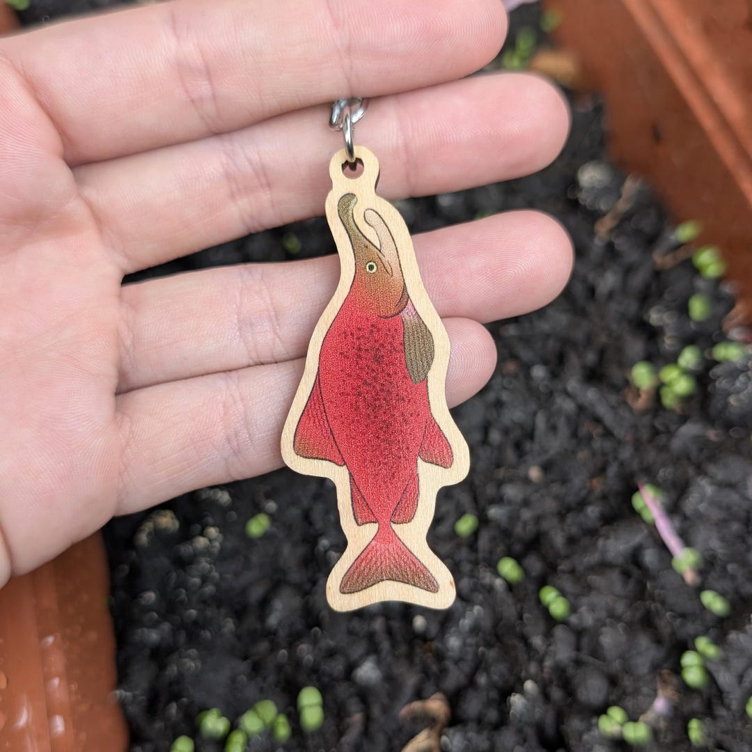 Salmon Eco Wood Keychains | Cottagecore Naturalist Gifts for Gardeners ...