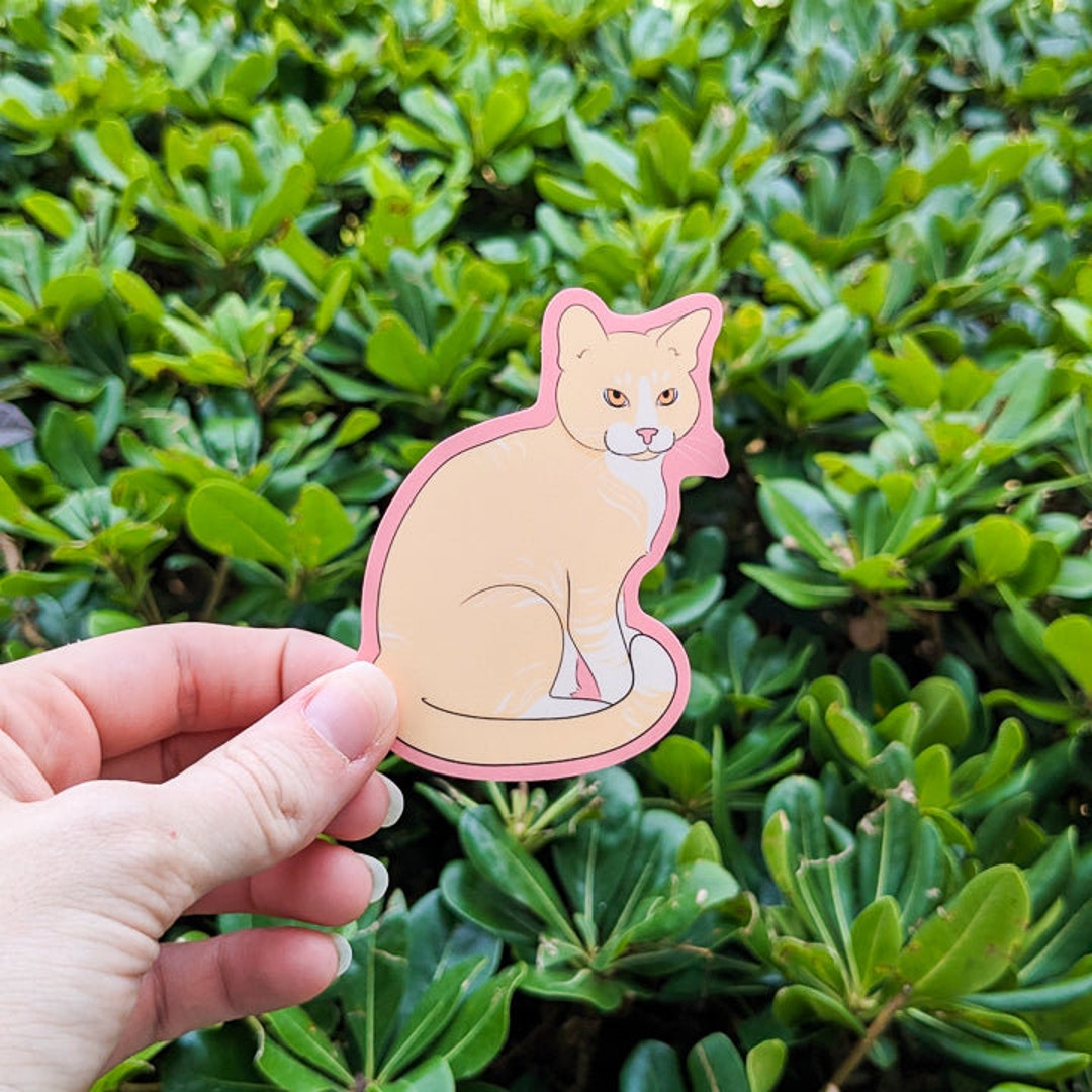Cheeto the Cat Waterproof Vinyl Sticker - Etsy