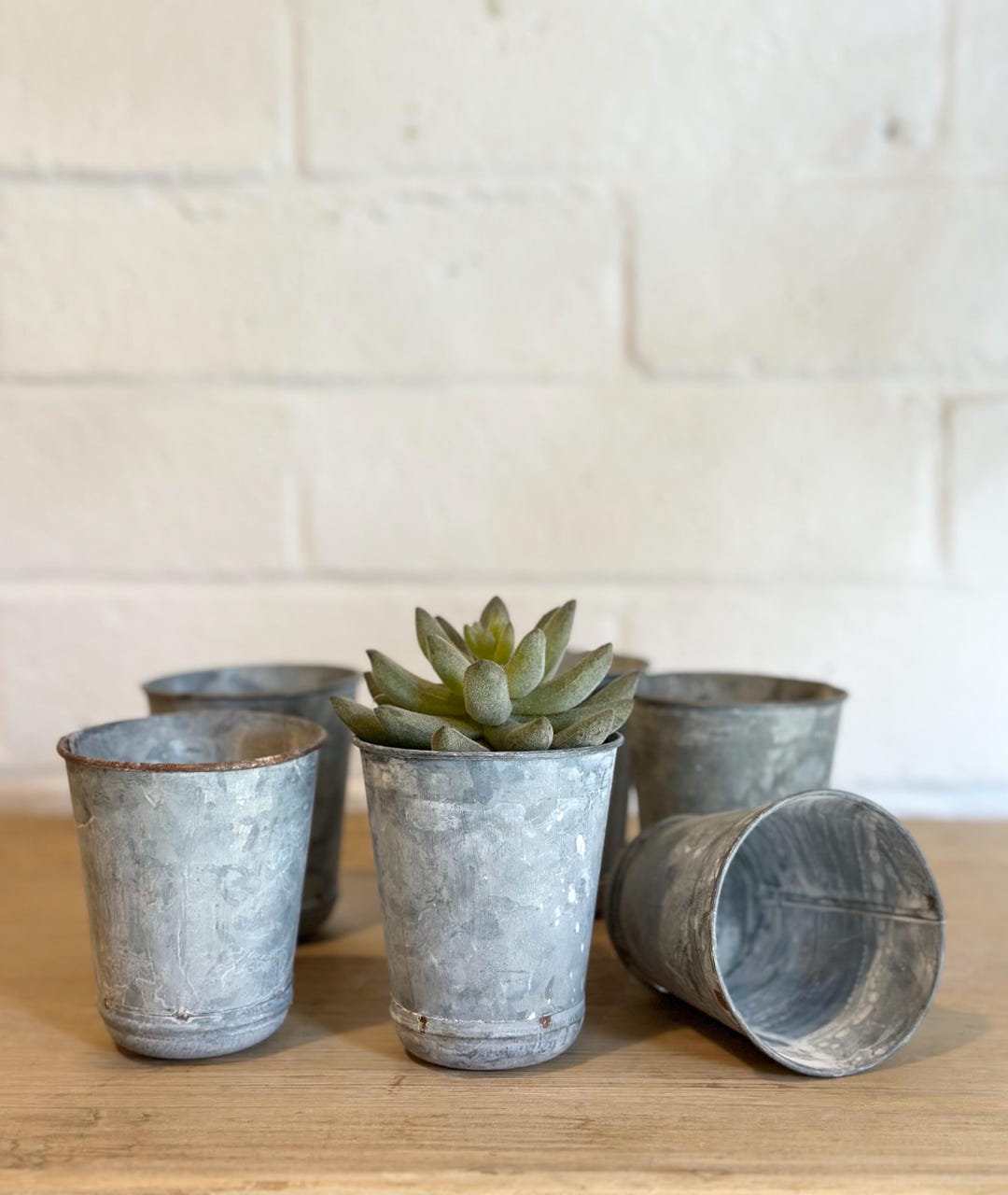 Vintage European Sap Cups - Etsy