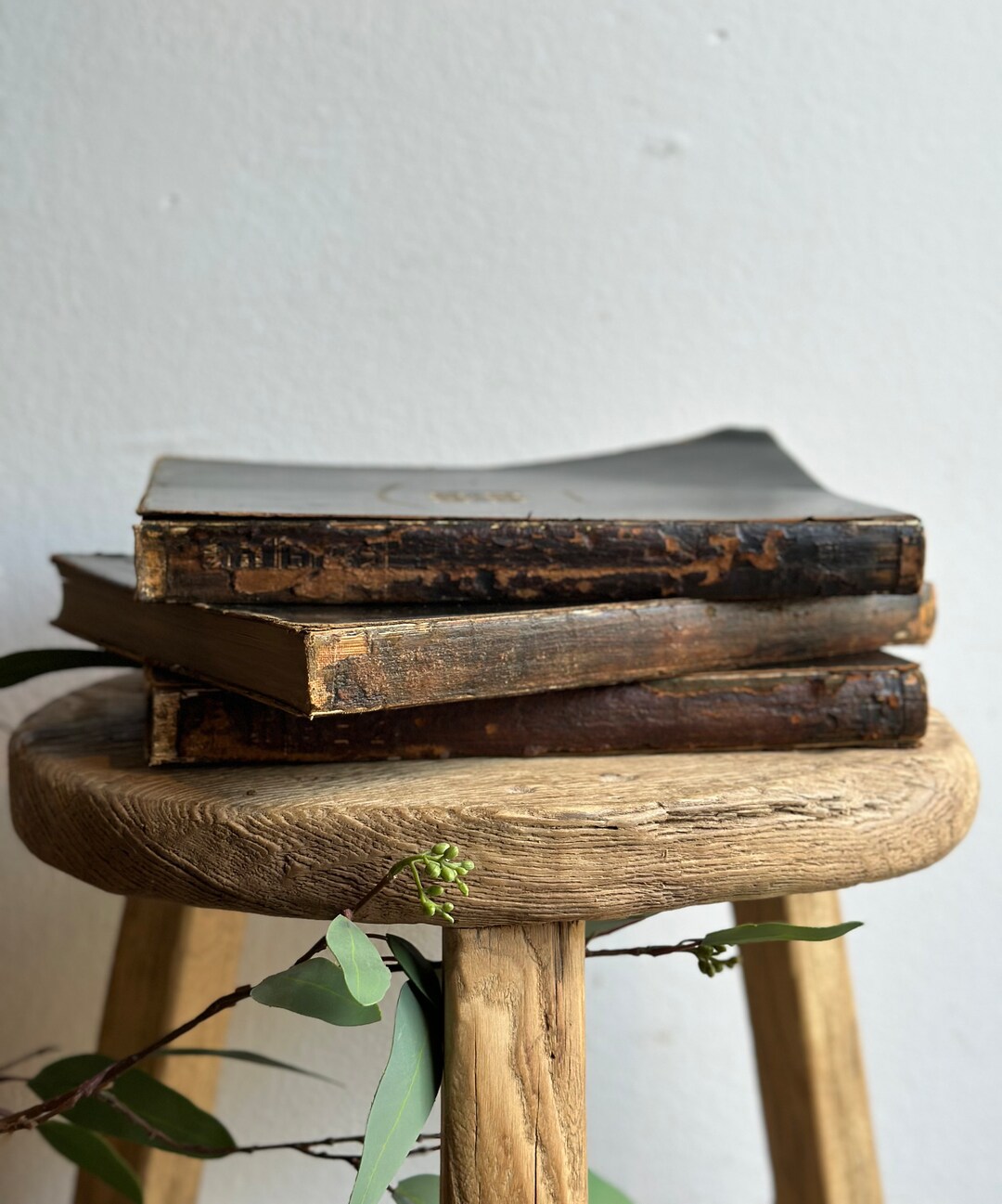 Antique Encyclopedia Britannica Books - Etsy