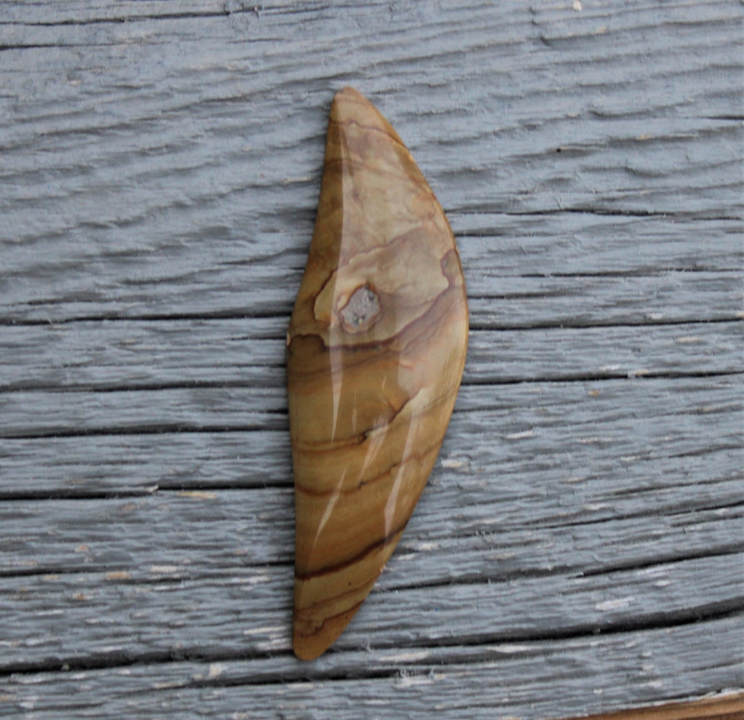 Owyhee Picture Jasper Eastern Oregon 72x23x4mm Bezel 2.2mm - Etsy