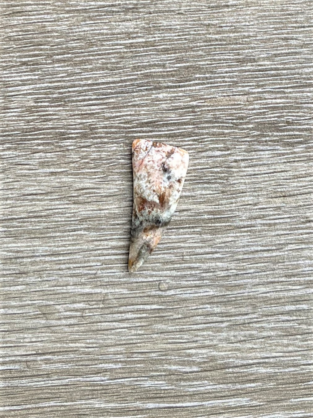 Graveyard Point Plume Agate E. Oregon/ Idaho Owyhee - Etsy