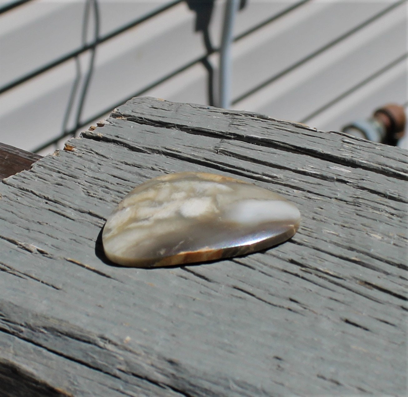 Graveyard Point Picture Stone E. Oregon/idaho 33x40x6.2mm | Etsy