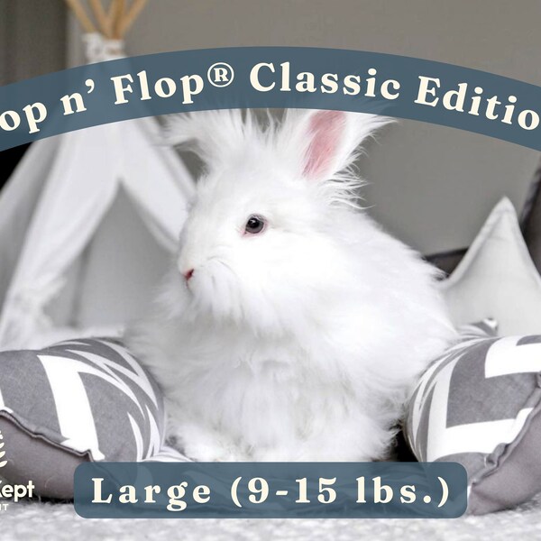 Flip Flop Pillow - Etsy