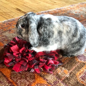 Seagrass Enrichmat™ | Snuffle Mat | Foraging & Enrichment Mat | Well ...