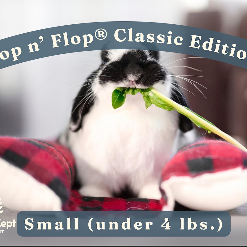 HopnFlopShop - Etsy