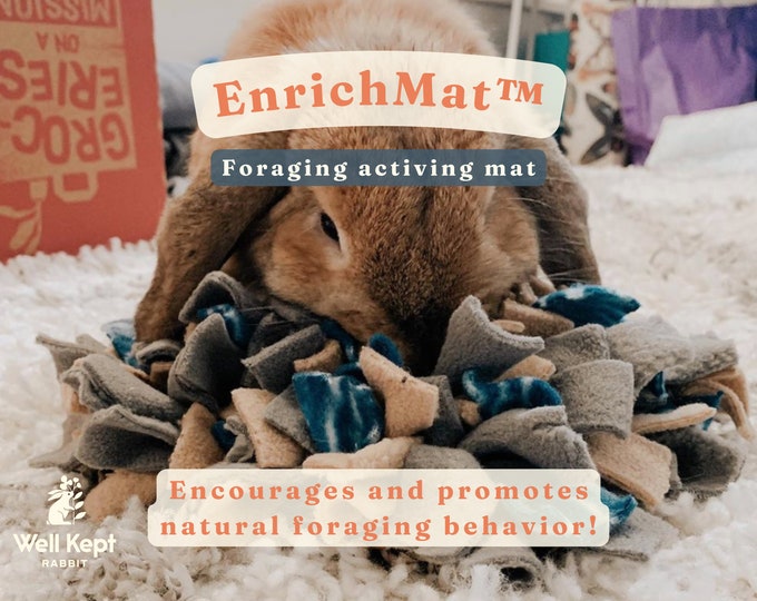 Seagrass Enrichmat™ | Snuffle Mat | Foraging & Enrichment Mat | Well ...
