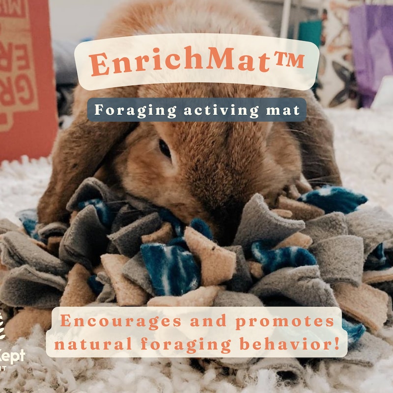 Seagrass Foraging Toy - Etsy