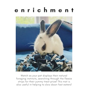 Seagrass Enrichmat™ | Snuffle Mat | Foraging & Enrichment Mat | Well ...