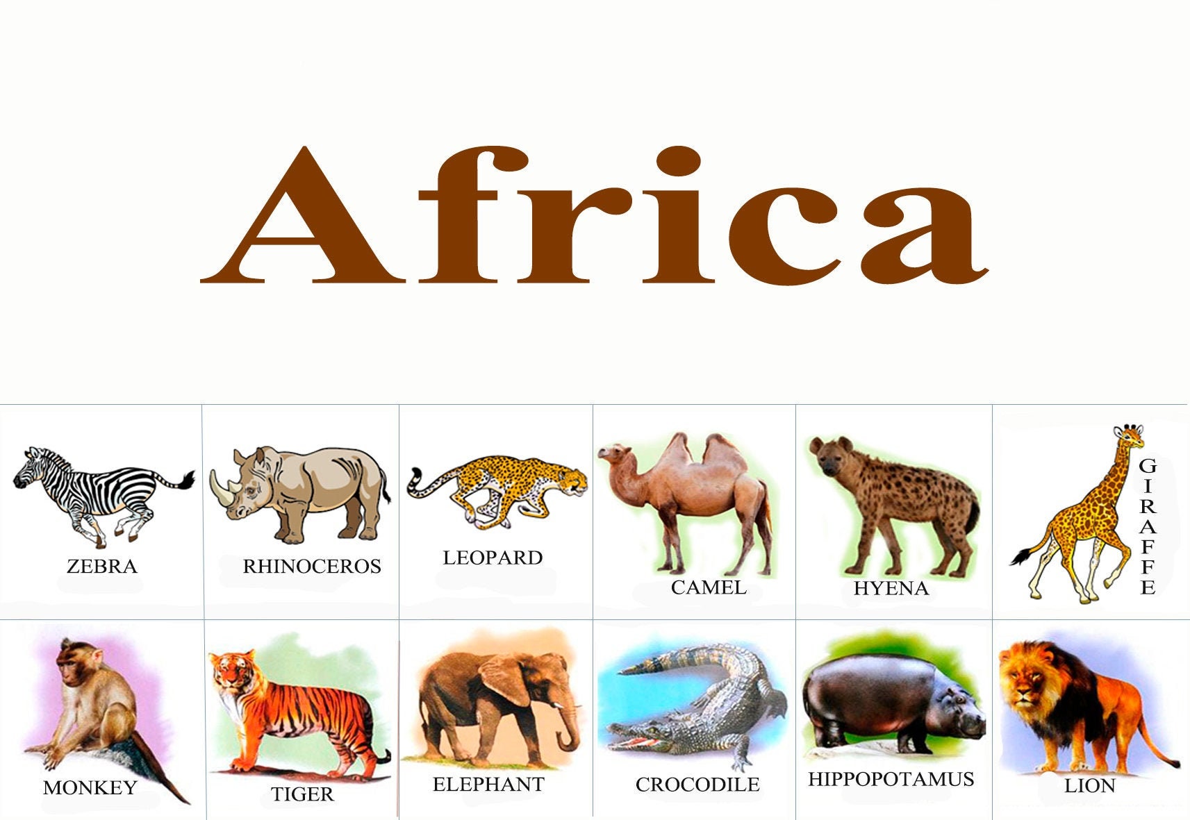 Flash cards African animals Safari animals Digital matching | Etsy