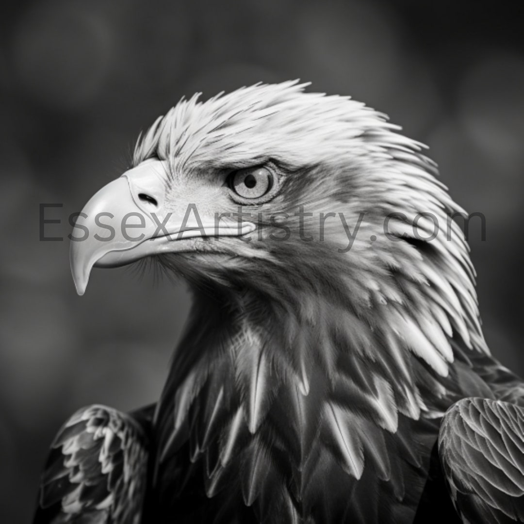 Eagles Head in Black and White American Eagle Png - Etsy
