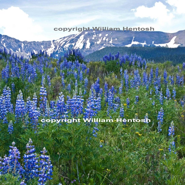 San Juan Mountains - Etsy