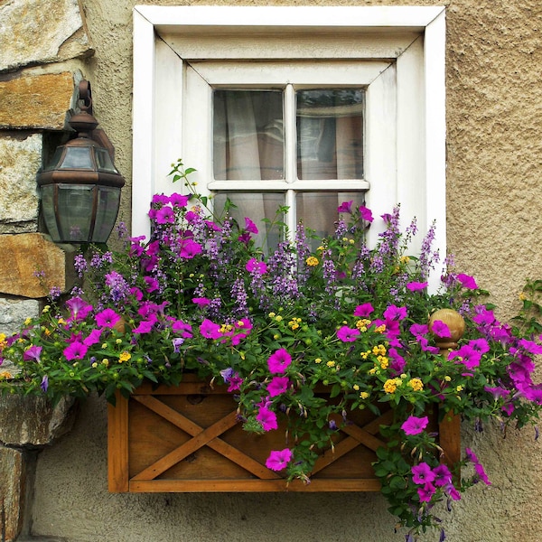 Flower Window Box - Etsy