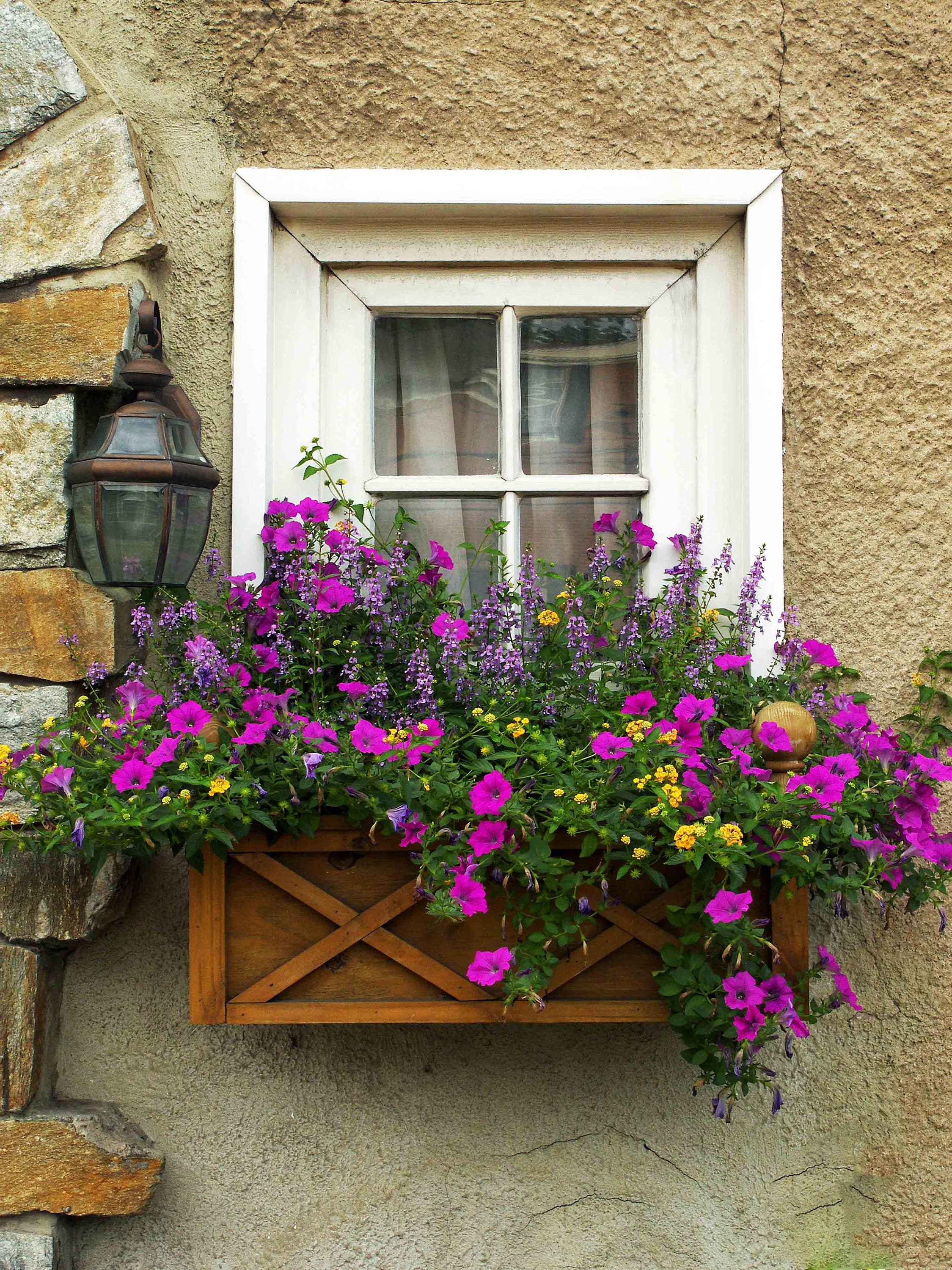 Window Flower Box, Photography, Flower Box Picture, Old Toll House ...