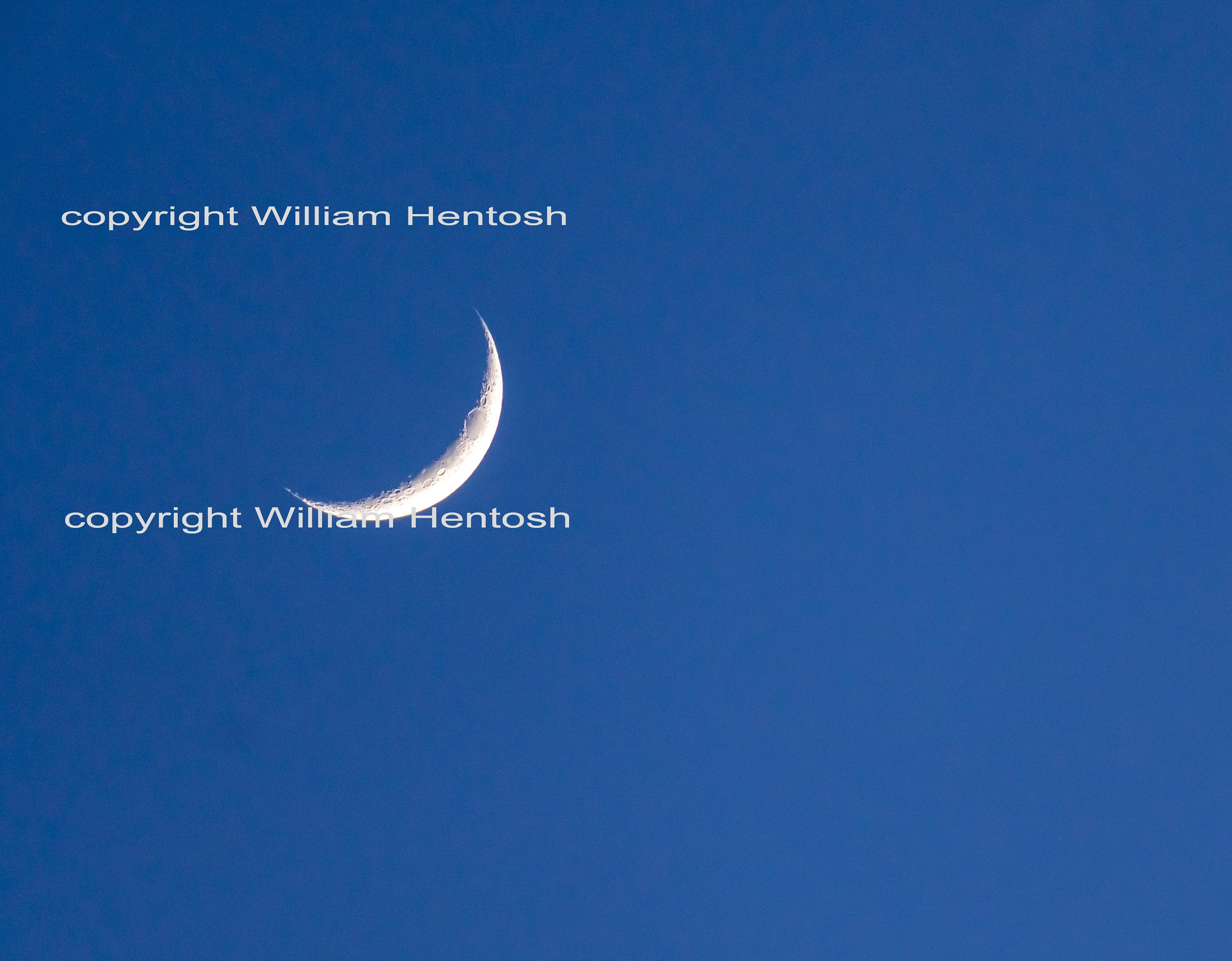 Crescent Moon and Trees, Two Settings Available, See Secondary Photo ...