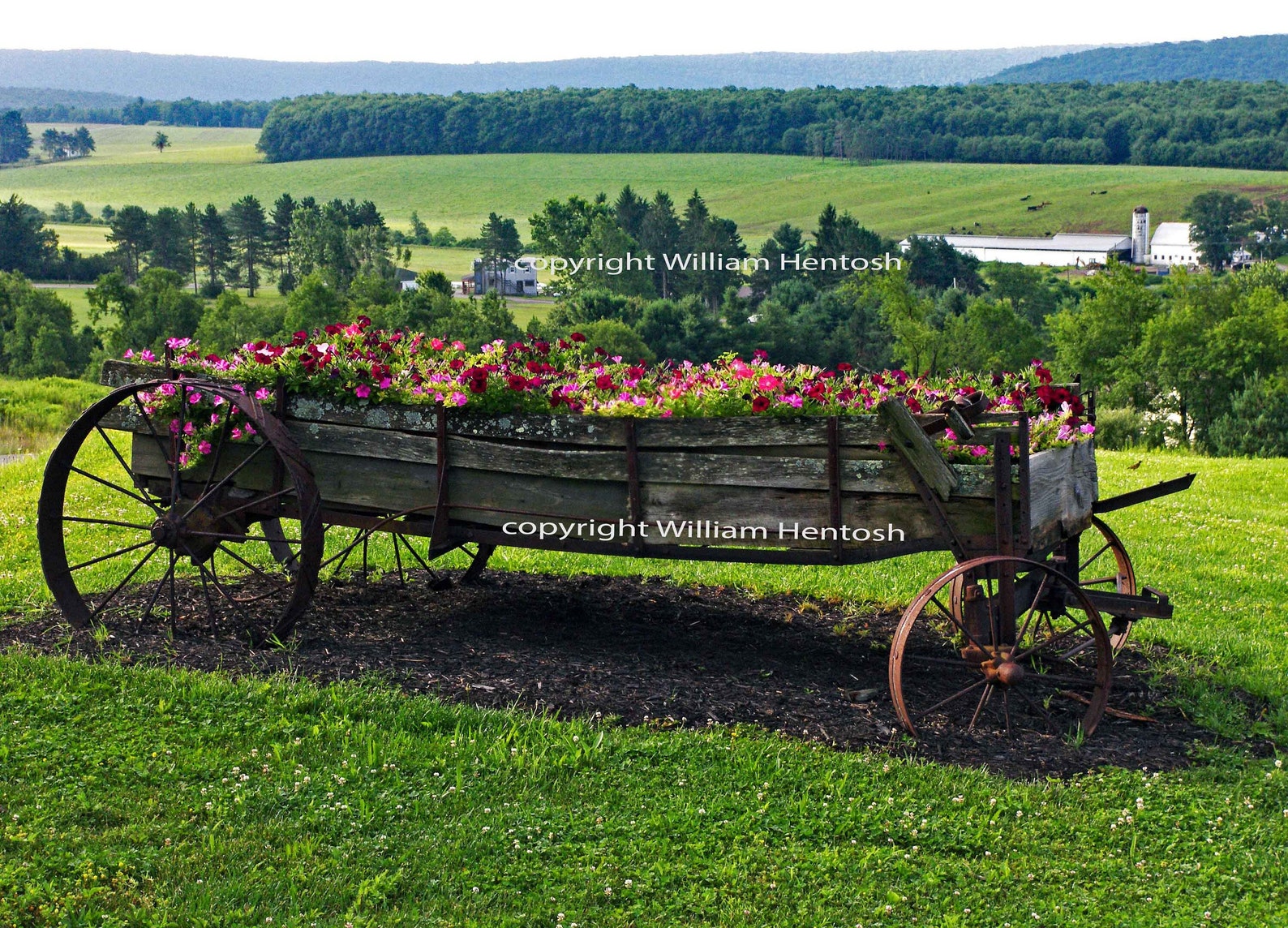 Flower Wagon, Country Wagon, Photography, Farm Wagon and Flowers ...