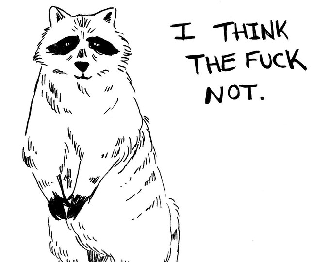 Racoon Says No Print - Etsy