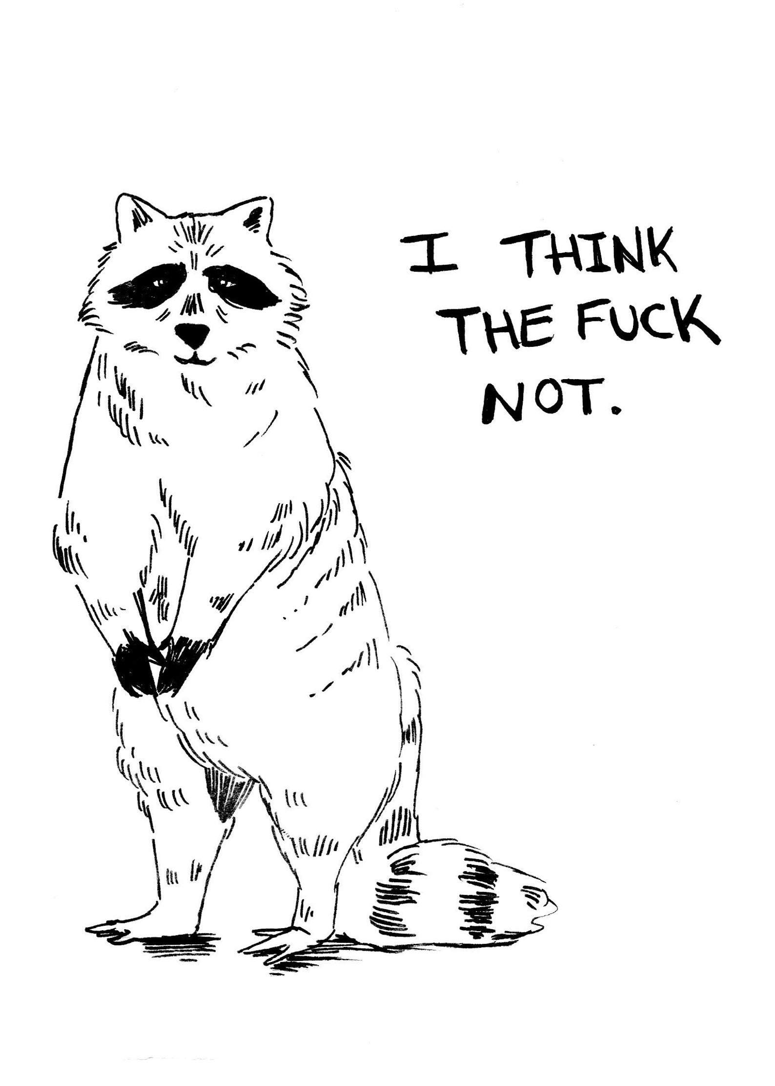 Racoon Says No Print Etsy