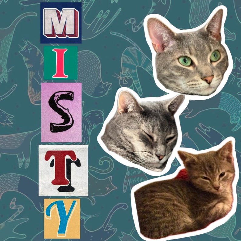 Custom Pet Lighter, Custom Lighter With Name and Photos, Cool Lighter ...