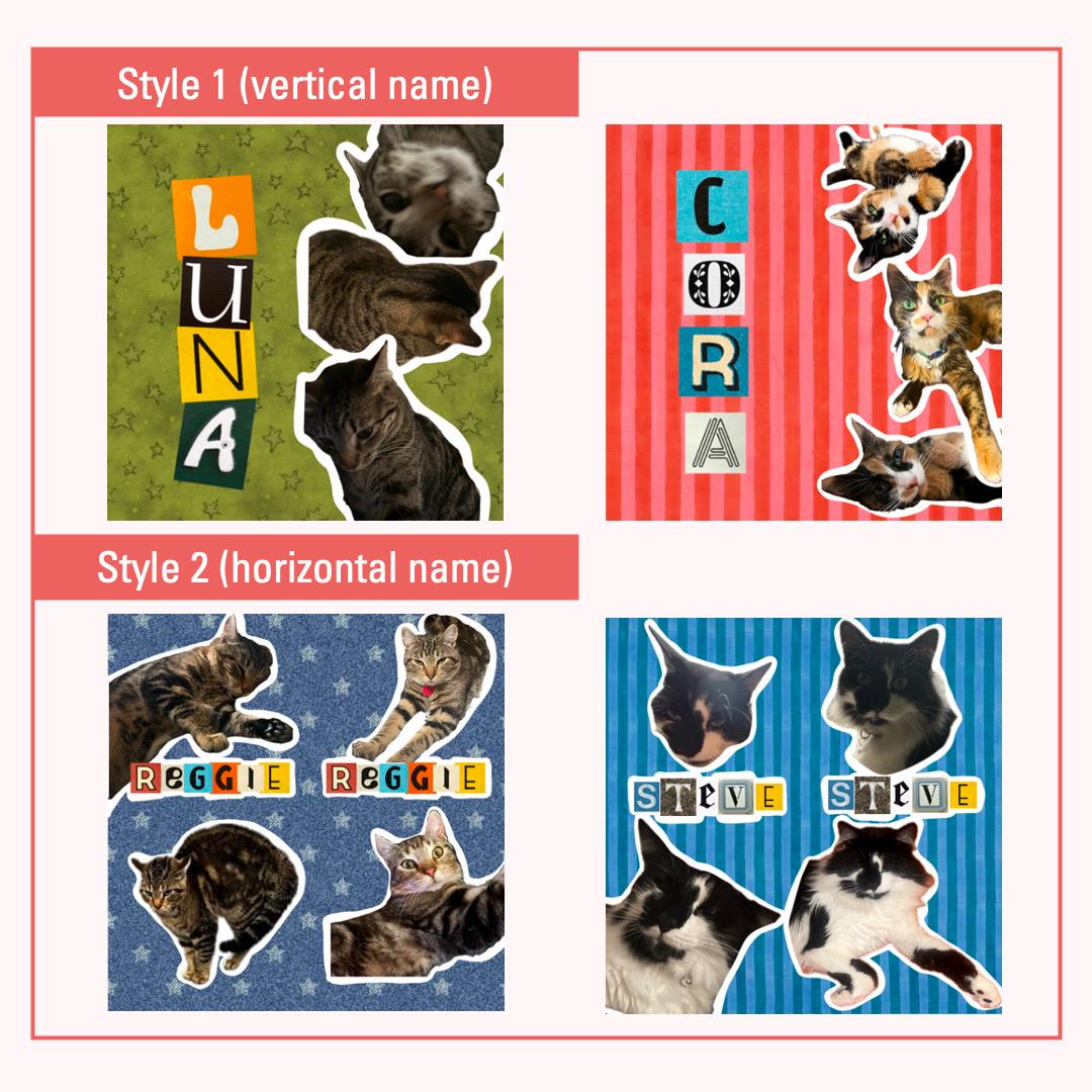 Custom Pet Lighter, Custom Lighter With Name and Photos, Cool Lighter ...