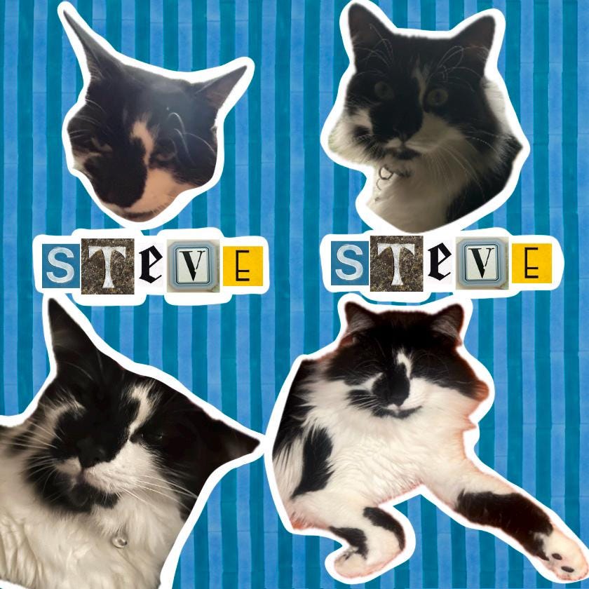 Custom Pet Lighter, Custom Lighter With Name and Photos, Cool Lighter ...